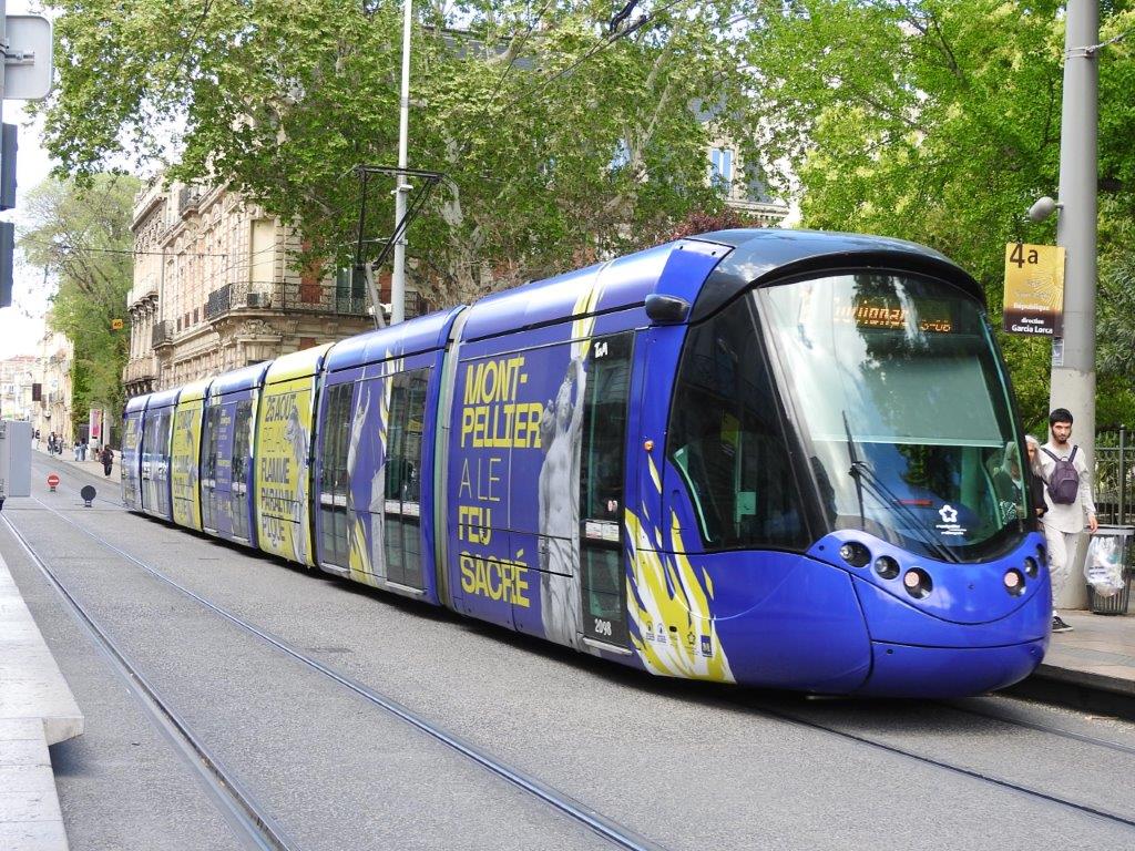 17 avril 2024 – A 100 jours des Jeux Olympiques de Paris 2024, la rame ...